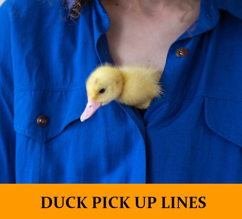 35 Duck Pick Up Lines [Funny, Dirty, Cheesy]